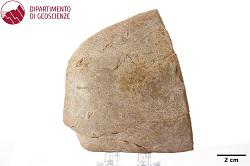 Rocce sedimentarie allochimiche | Digital collection